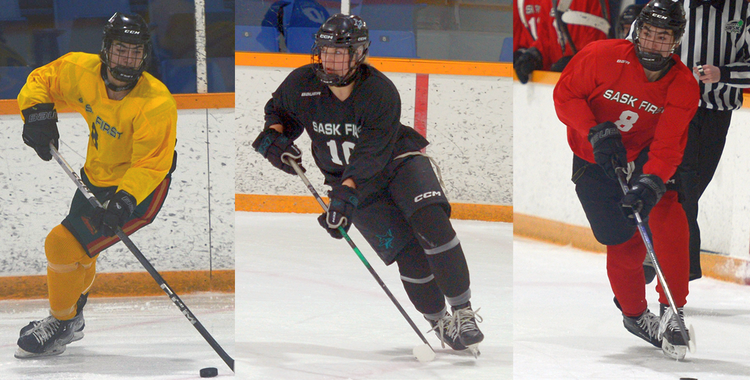 Home « Hockey Saskatchewan
